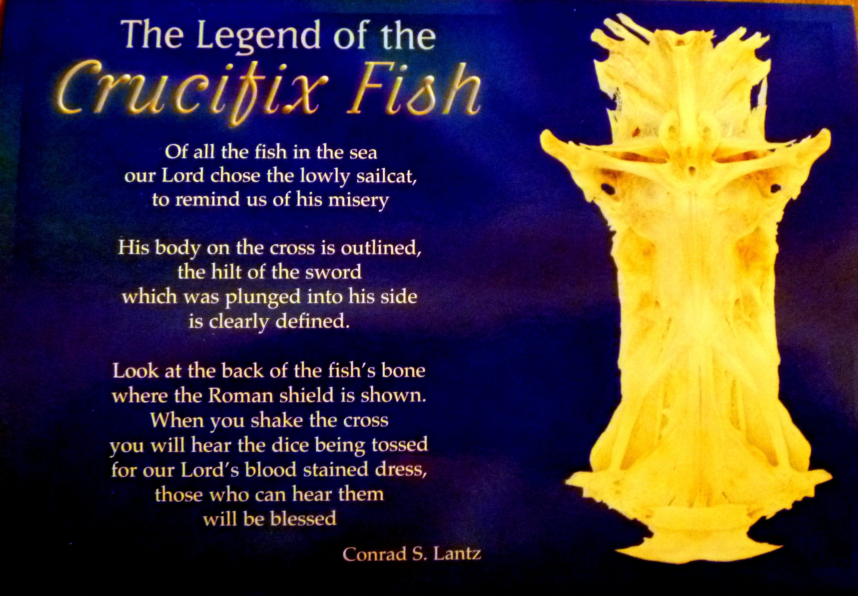 Crucifix Fish Gaff Top Sailcat Fish Skull Religious Jesus Christ Cross ...