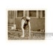 AMATEUR CONTORTIONIST 1930s Vintage Photo of a Young Girl's Flexibility ...