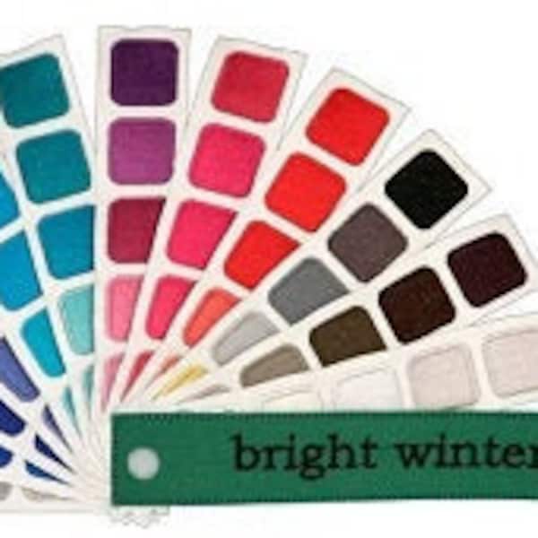 Winter Color Swatches - Etsy