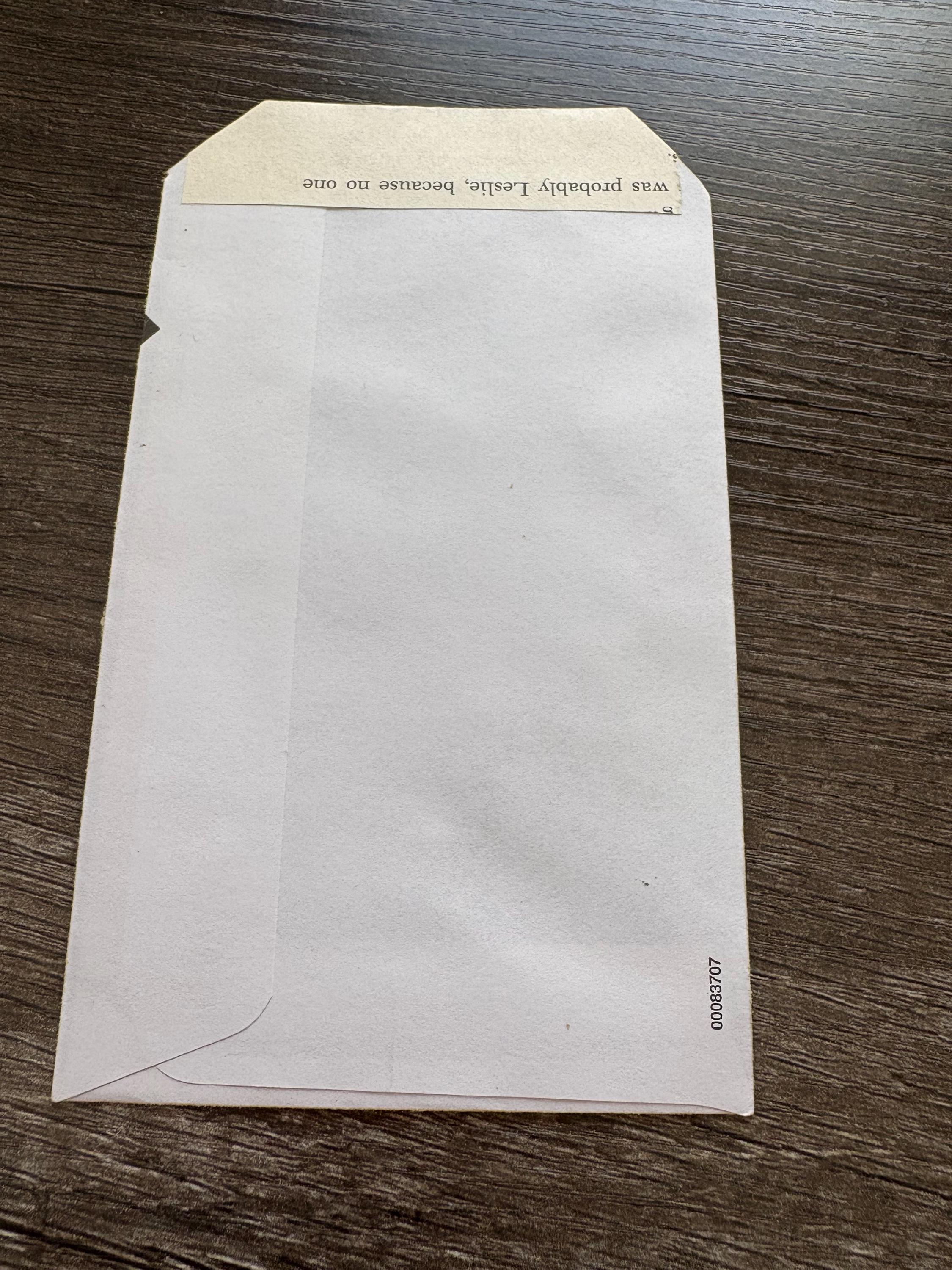 Altered and Recycled Junk Mail Envelope With Two Clip on Journaling ...