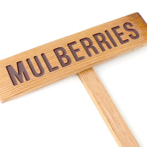 MULBERRIES Sign, Fruit Marker, Outdoor Sign, Yard Art, Hanging Fruit ...