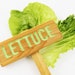LETTUCE Garden Sign Outdoor Marker Yard Art Vegetable Sign - Etsy