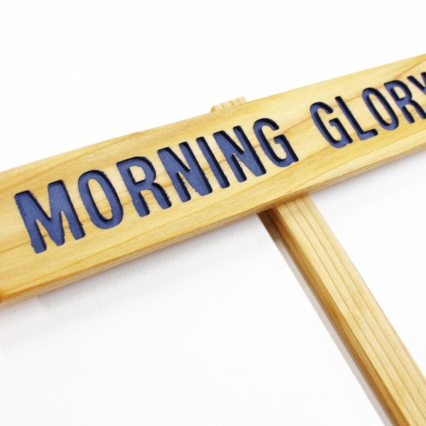 Morning Glory Vine - Etsy