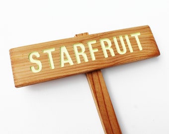 Fruit Tree Art Gift - Etsy