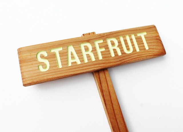 TheCommonSign - Etsy