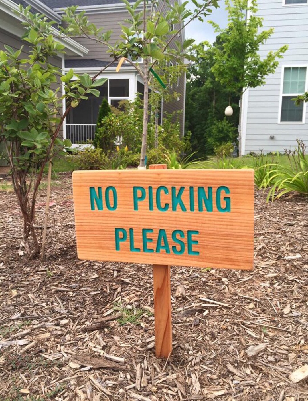 NO PICKING PLEASE Sign, Outdoor Marker, Yard Art, Flower Signage, Fruit ...