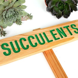 SUCCULENTS Garden Marker, Plant Sign, Indoor Garden Signage, Natural ...