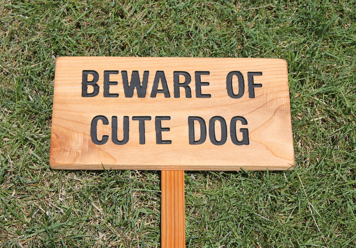 Beware of Cute Dog Sign, Fun Dog Sign, Dog Lovers Gift, Cute Puppy Sign ...