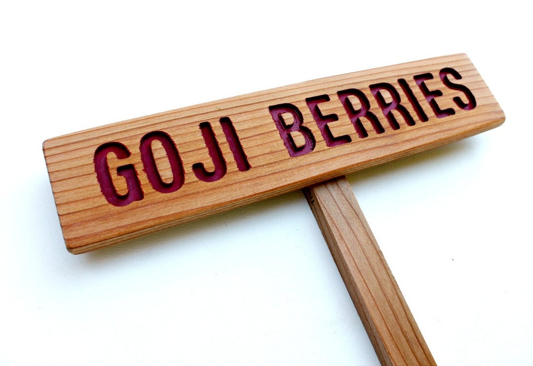 GOJI BERRIES Garden Marker, Fruit Signage, Plant Signs, Wooden Fruit ...
