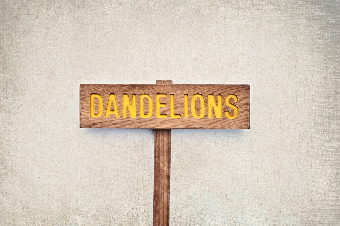 DANDELIONS Garden or Yard Sign Painted & Oil Sealed Cedar - Etsy