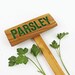 PARSLEY Herb Garden Sign, Painted & Oil Sealed Cedar Wood: Hand Routed ...