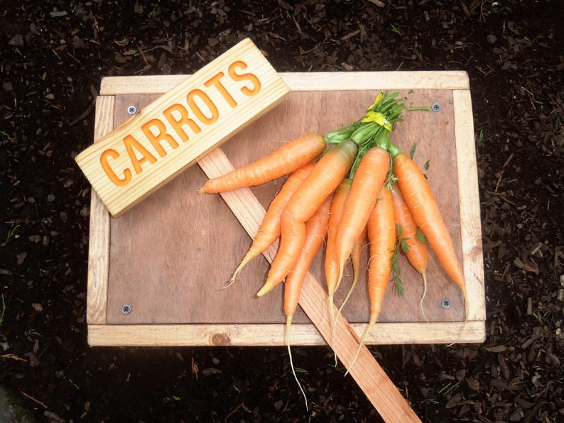 CARROTS Garden Sign, Outdoor Sign, Yard Art, Vegetable Sign, Root ...