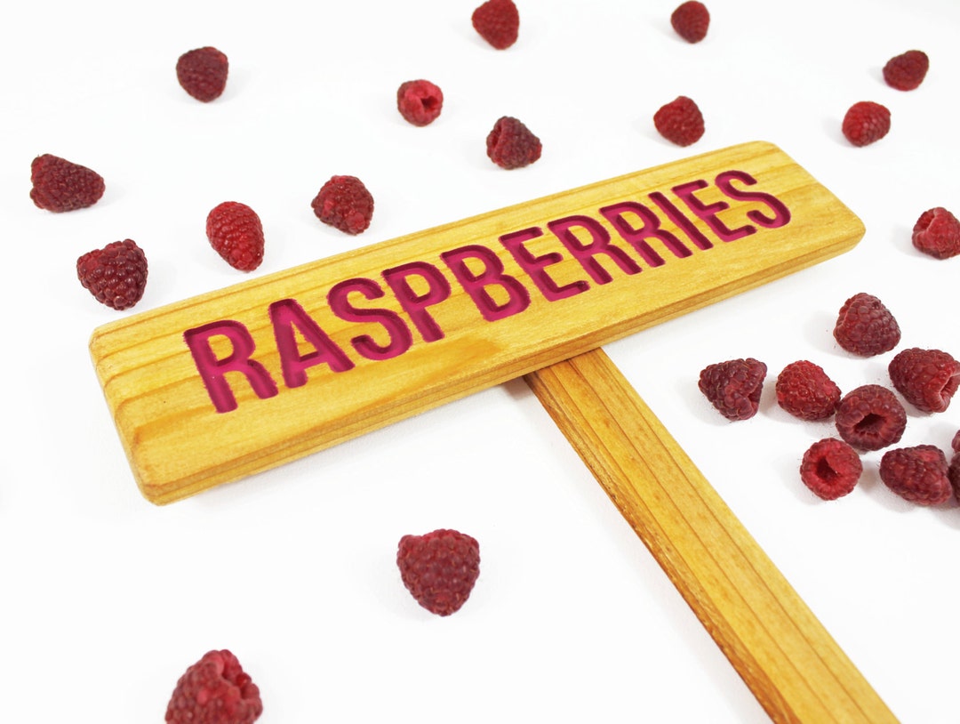 RASPBERRIES Sign, Garden Marker, Berry Sign, Outdoor Marker, Yard Art ...
