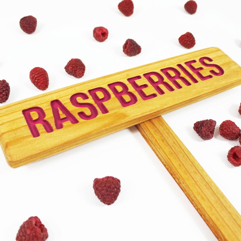 Raspberry Decor - Etsy