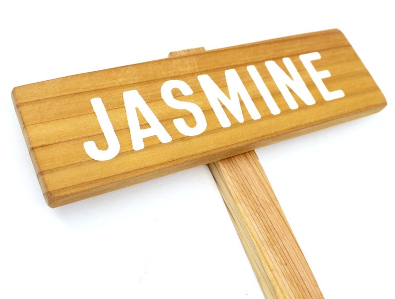 JASMINE Sign Flower Marker Outdoor Sign Yard Art Tea - Etsy