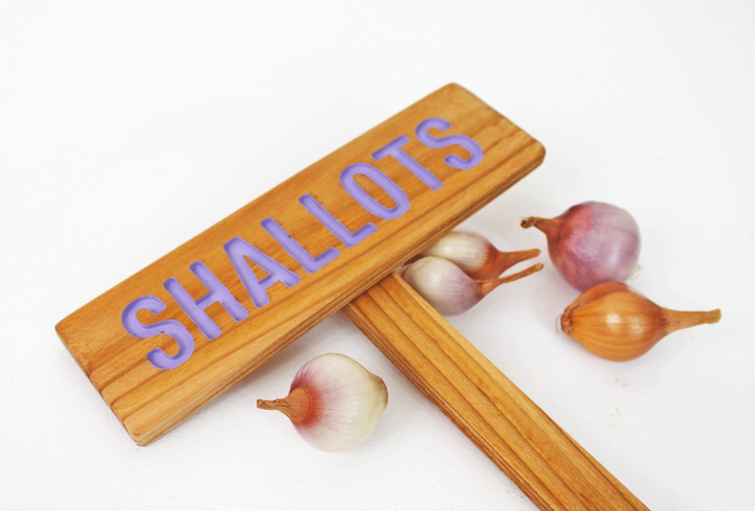 SHALLOTS Plant Marker, Outdoor Sign, Yard Art, Vegetable Sign, Bulb ...
