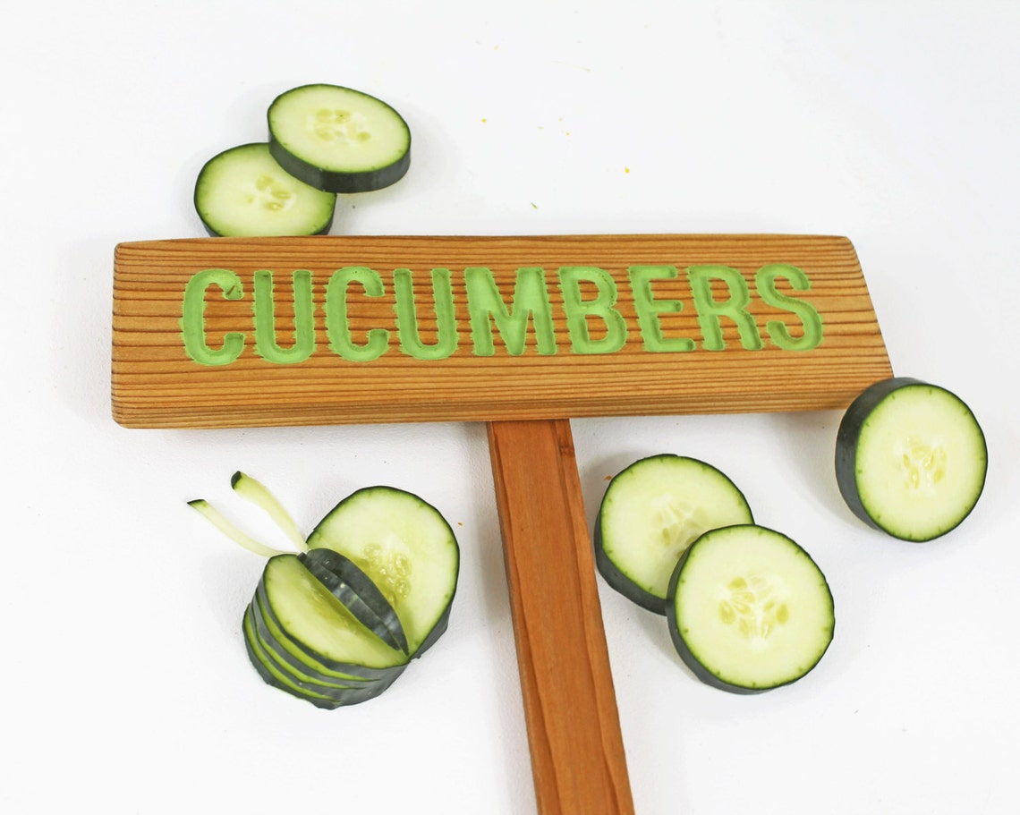 CUCUMBERS Garden Sign Painted & Oil Sealed Cedar Wood: Hand - Etsy
