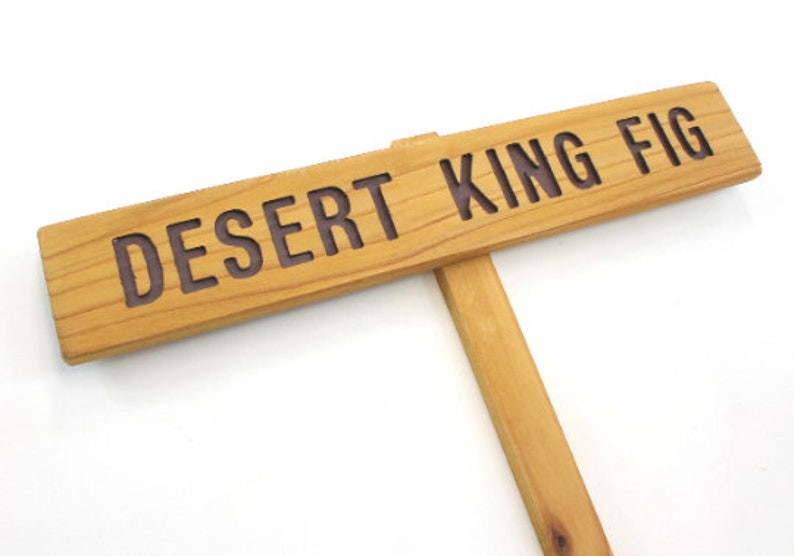 FIGS Rustic Tree Sign Hand Routed Tree Marker Summer Fruit | Etsy