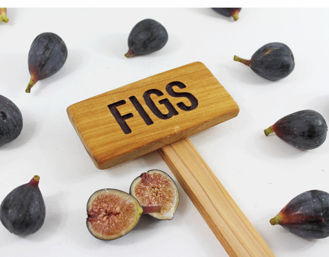 FIGS Rustic Tree Sign, Hand Routed, Tree Marker, Summer Fruit Tree Sign ...