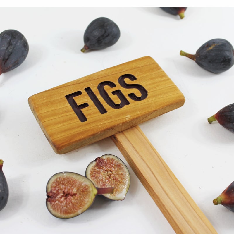 Fruit Tree Label Signs - Etsy