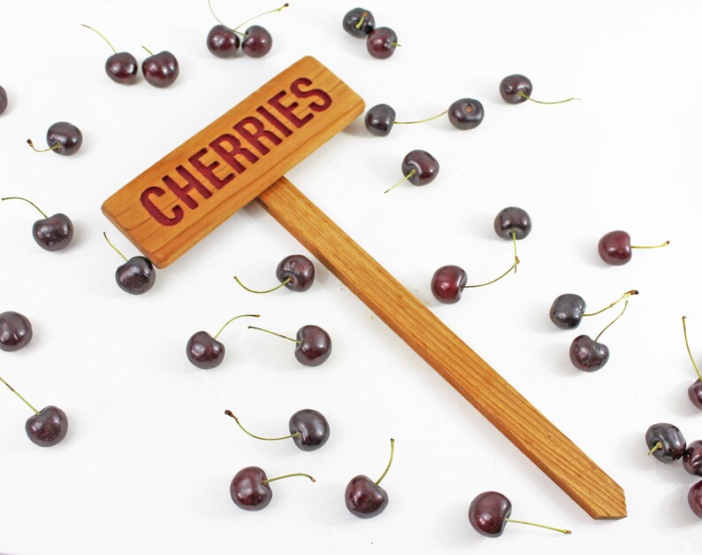 CHERRIES Rustic Tree Sign Hand Routed Garden Marker Fruit - Etsy