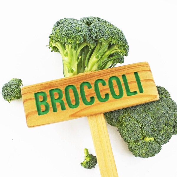 Garden Signs Personalized - Etsy