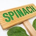 SPINACH Garden Sign, Outdoor Marker, Yard Art, Vegetable Sign, Leafy ...