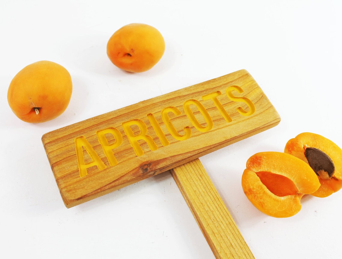 APRICOTS Rustic Garden Tree Sign: Hand Routed Plant Marker - Etsy