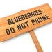 CUSTOM Do Not Prune Marker, Personalized Sign, Custom Garden Marker, Do ...