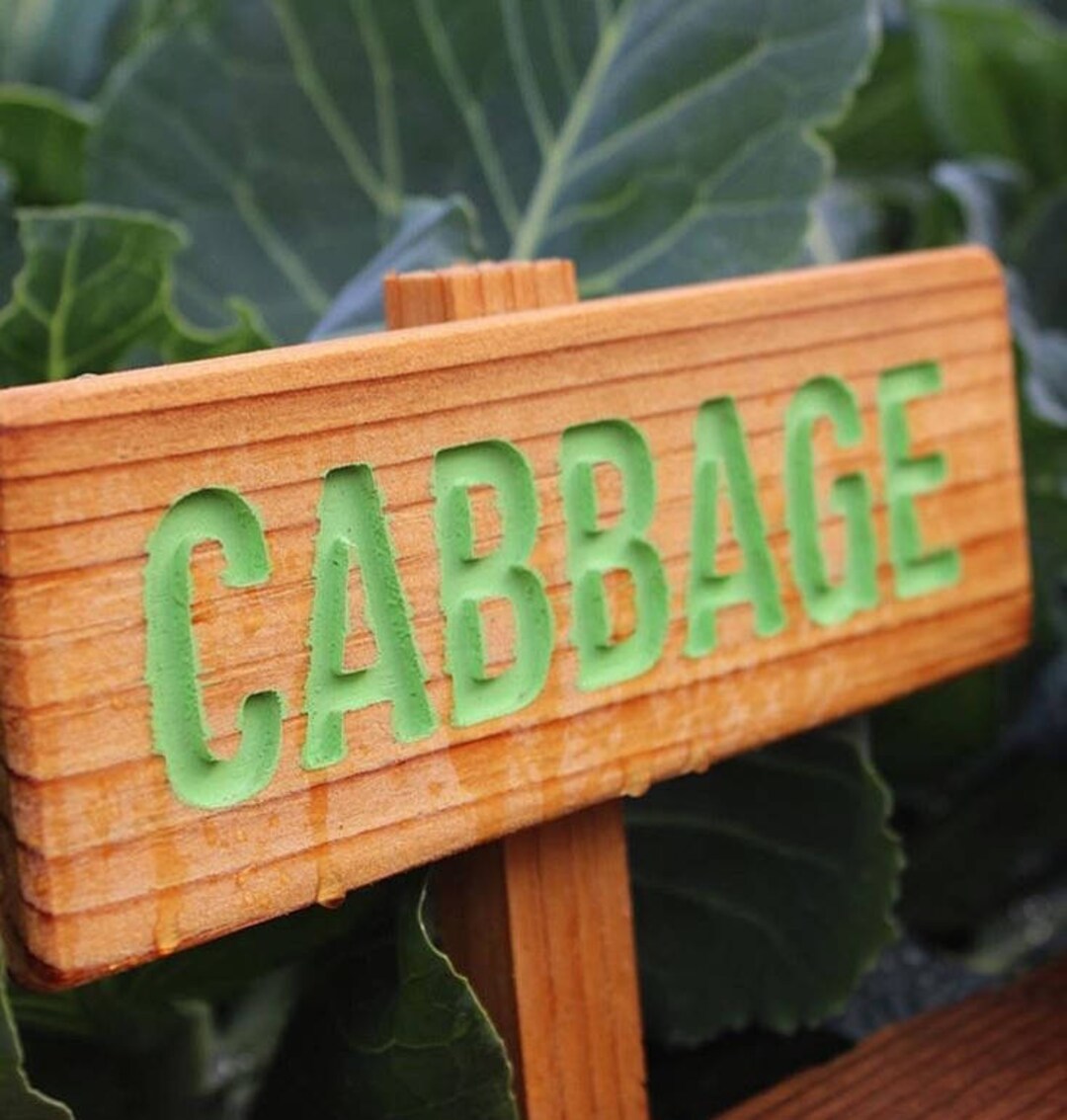 CABBAGE Garden Sign, Outdoor Sign, Yard Art, Leafy Vegetable, Plant ...