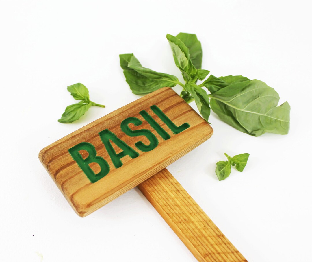 BASIL Herb Garden Sign, Painted & Oil Sealed Cedar Wood: Hand Routed ...