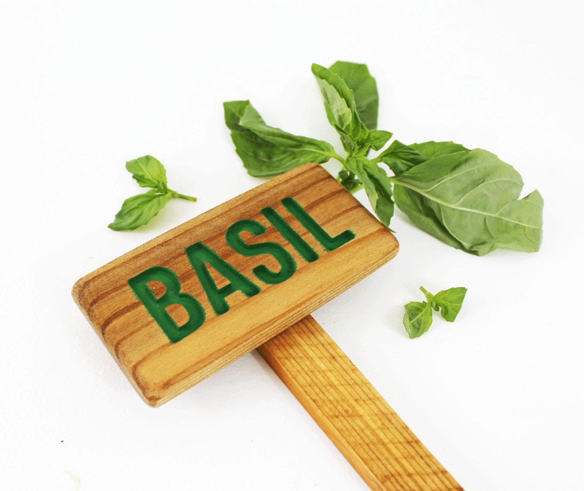 BASIL Herb Garden Sign, Painted & Oil Sealed Cedar Wood: Hand Routed ...