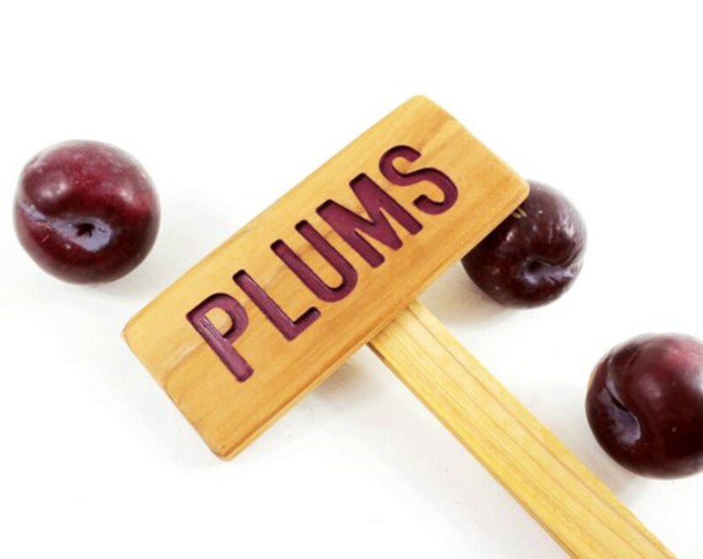 PLUMS Sign Fruit Tree Sign Hand Routed Garden Sign Orchard | Etsy