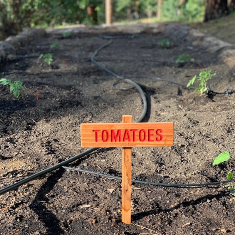 Tomato Sign - Etsy
