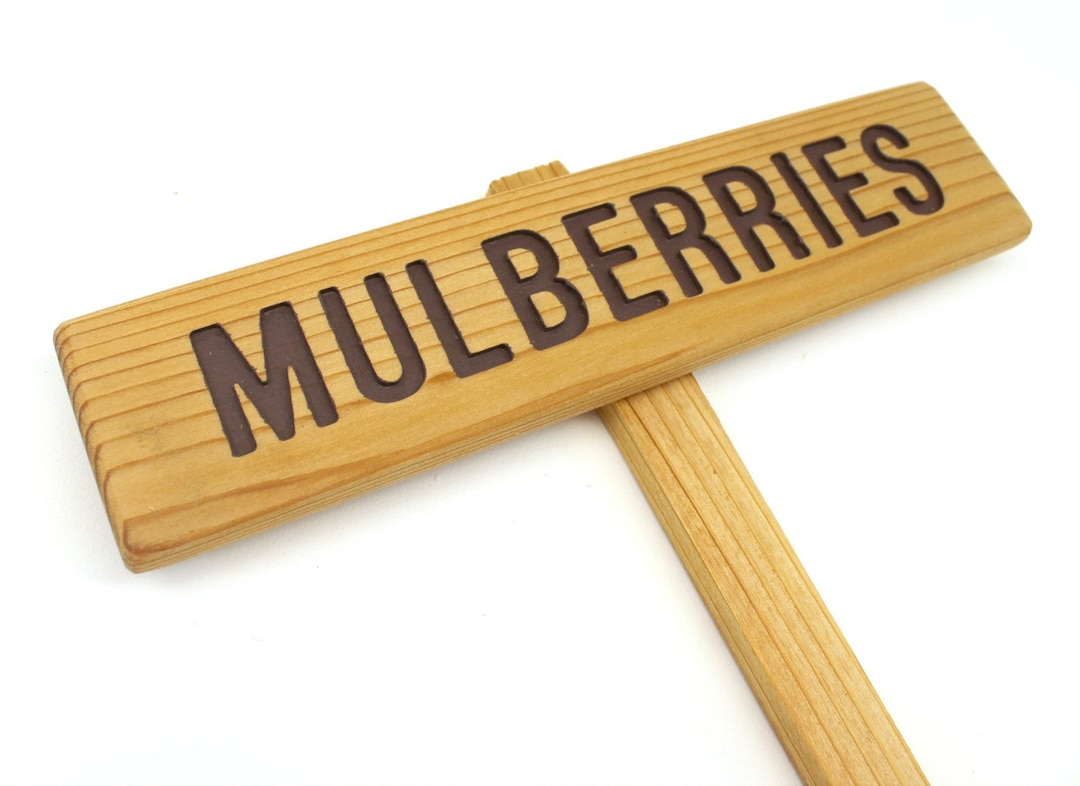MULBERRIES Sign, Fruit Marker, Outdoor Sign, Yard Art, Hanging Fruit ...