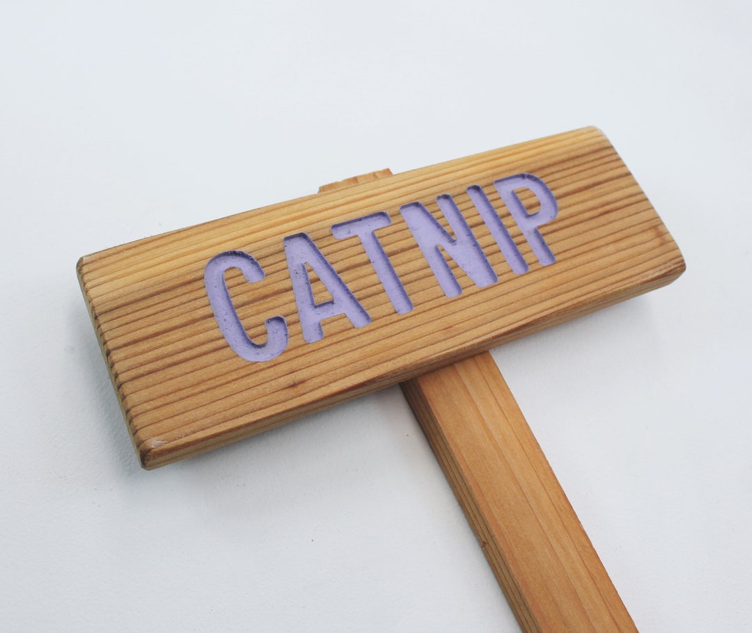 Catnip Garden Sign, Outdoor Marker, Yard Art, Plant Label, Lawn Decor ...
