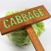 CABBAGE Garden Sign, Outdoor Sign, Yard Art, Leafy Vegetable, Plant ...