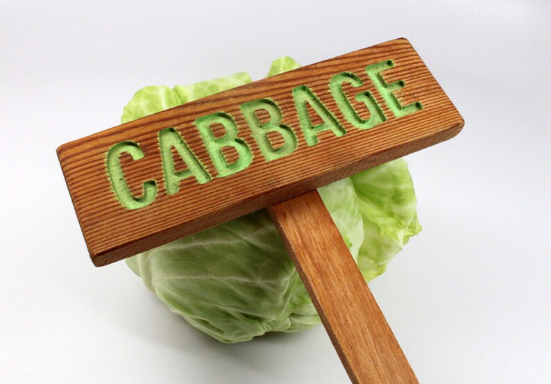 CABBAGE Garden Sign, Outdoor Sign, Yard Art, Leafy Vegetable, Plant ...