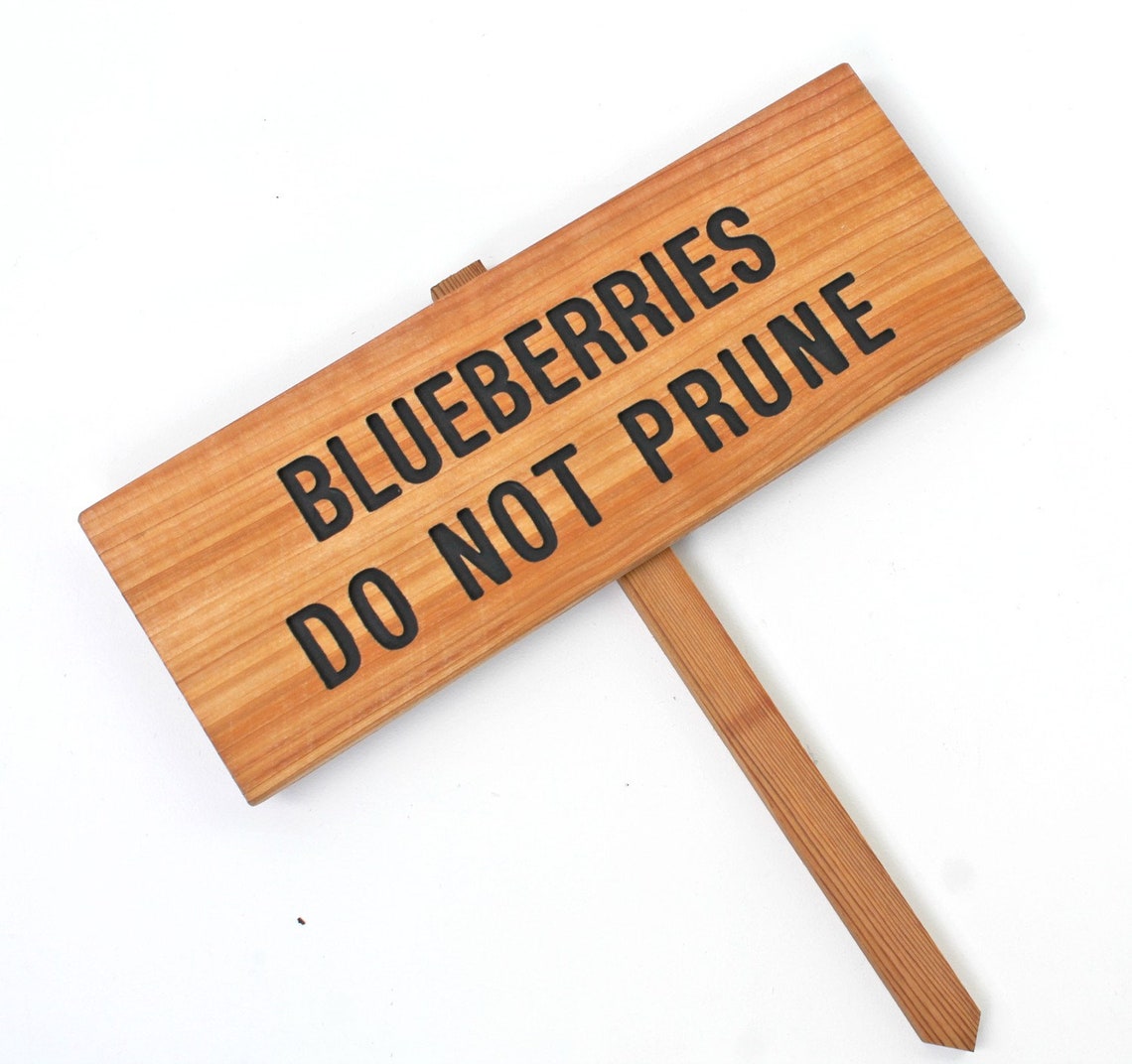 CUSTOM Do Not Prune Marker Personalized Sign Custom Garden - Etsy