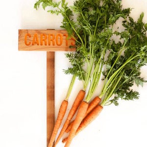 CARROTS Garden Sign, Outdoor Sign, Yard Art, Vegetable Sign, Root ...