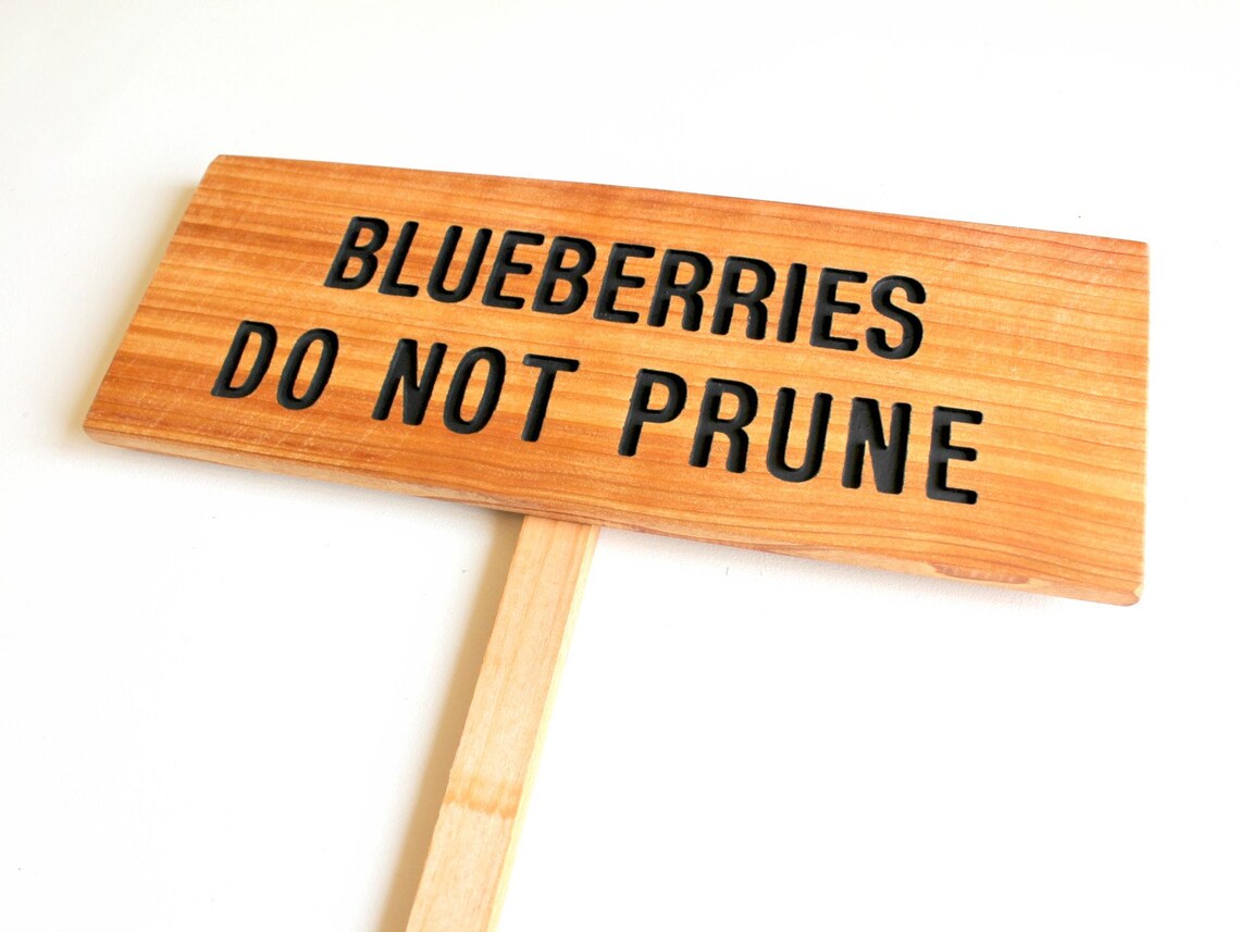 CUSTOM Do Not Prune Marker Personalized Sign Custom Garden - Etsy