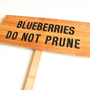CUSTOM Do Not Prune Marker, Personalized Sign, Custom Garden Marker, Do ...