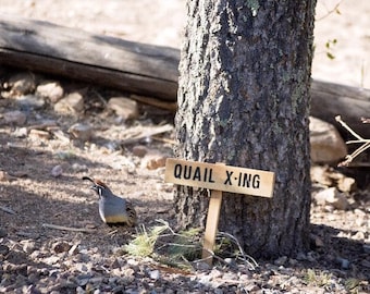 Hand Painted Quail Sign - Etsy