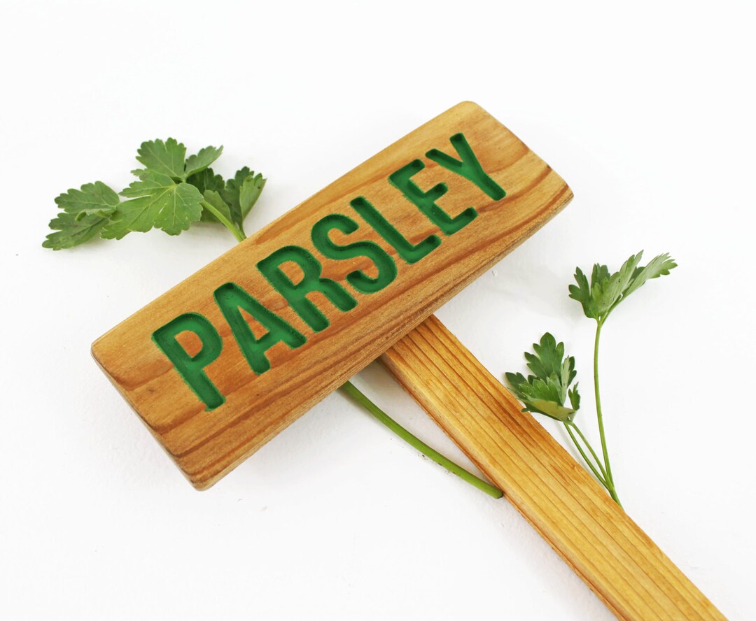 PARSLEY Herb Garden Sign, Painted & Oil Sealed Cedar Wood: Hand Routed ...
