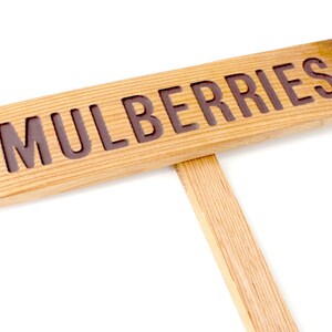 MULBERRIES Sign, Fruit Marker, Outdoor Sign, Yard Art, Hanging Fruit ...
