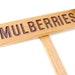 MULBERRIES Sign, Fruit Marker, Outdoor Sign, Yard Art, Hanging Fruit ...