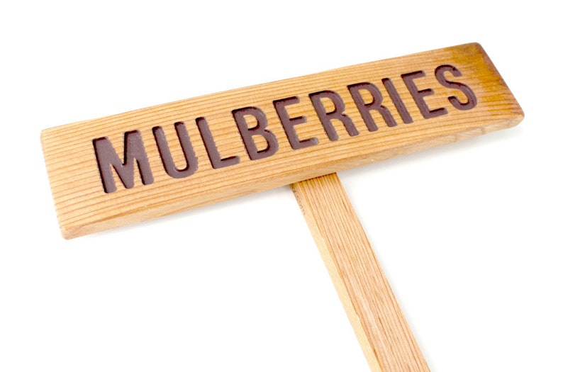 MULBERRIES Sign Fruit Marker Outdoor Sign Yard Art Hanging - Etsy