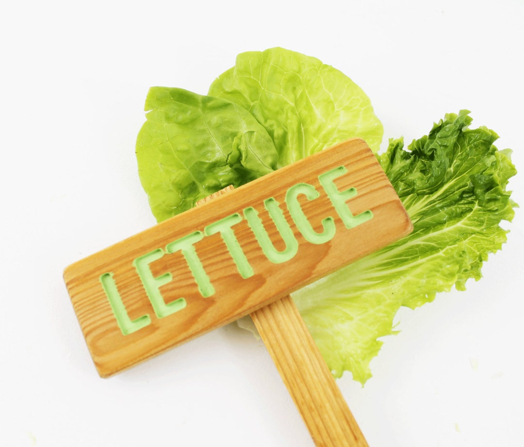 LETTUCE Garden Sign, Outdoor Marker, Yard Art, Vegetable Sign, Veggie ...