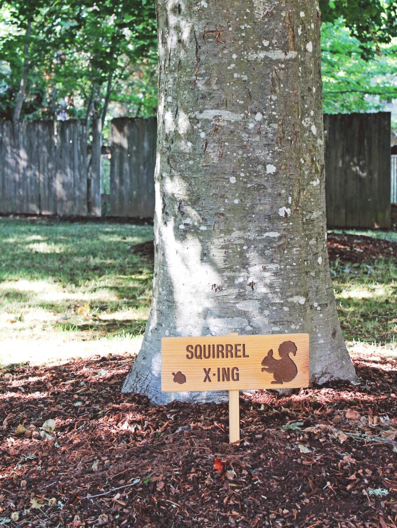 SQUIRREL X-ING Squirrel Crossing Personalized Sign Outdoor - Etsy
