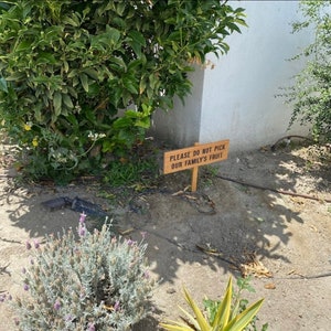 Please Do Not Pick Our Family's Fruit, No Picking Please, Front Lawn ...